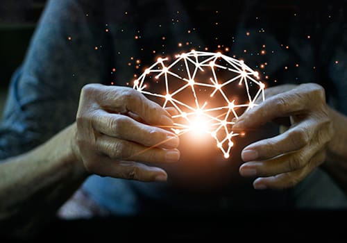 The Interesting Link Between Life Purpose and Your Brain - Bridges® by ...